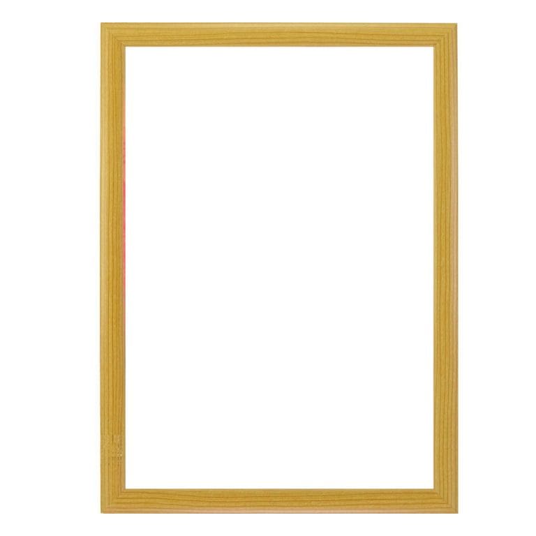 Standard Snap Frames NZ | Mills Display
